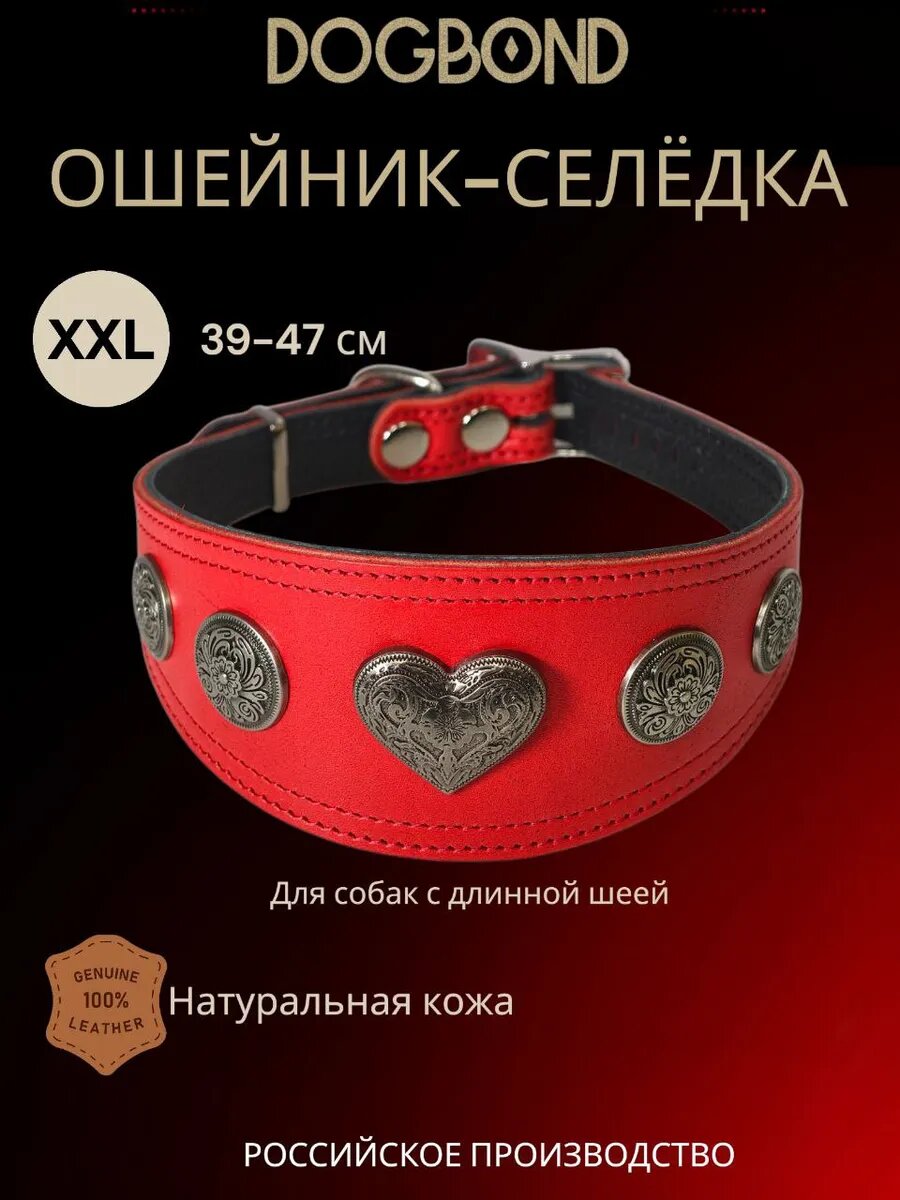 Ошейник-селедка Dogbond для грейхаундов и борзых собак