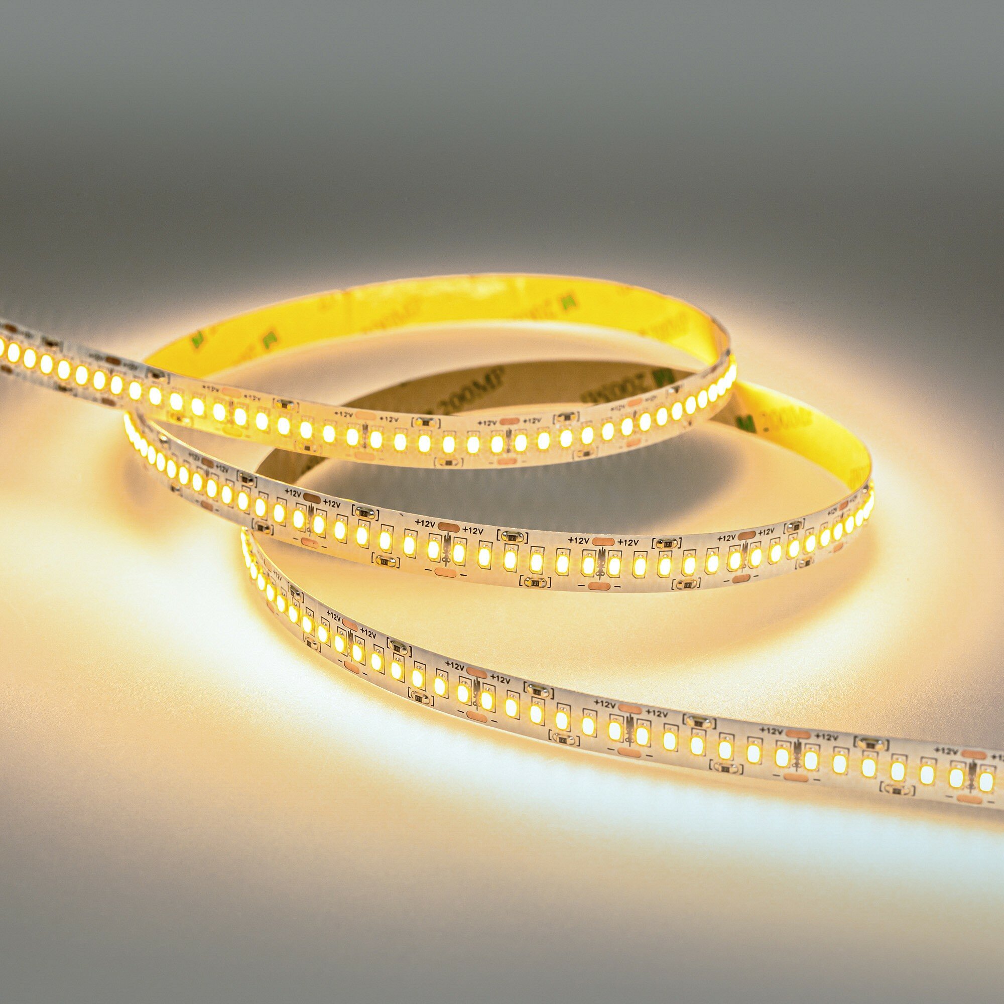 Лента светодиодная Eleganz LUX EL-LS-24N [5 м.]