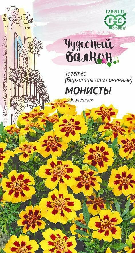 Семена цветов Гавриш Чудесный балкон бархатцы отклоненные Монисты, для дачи, сада, огорода и на рассаду