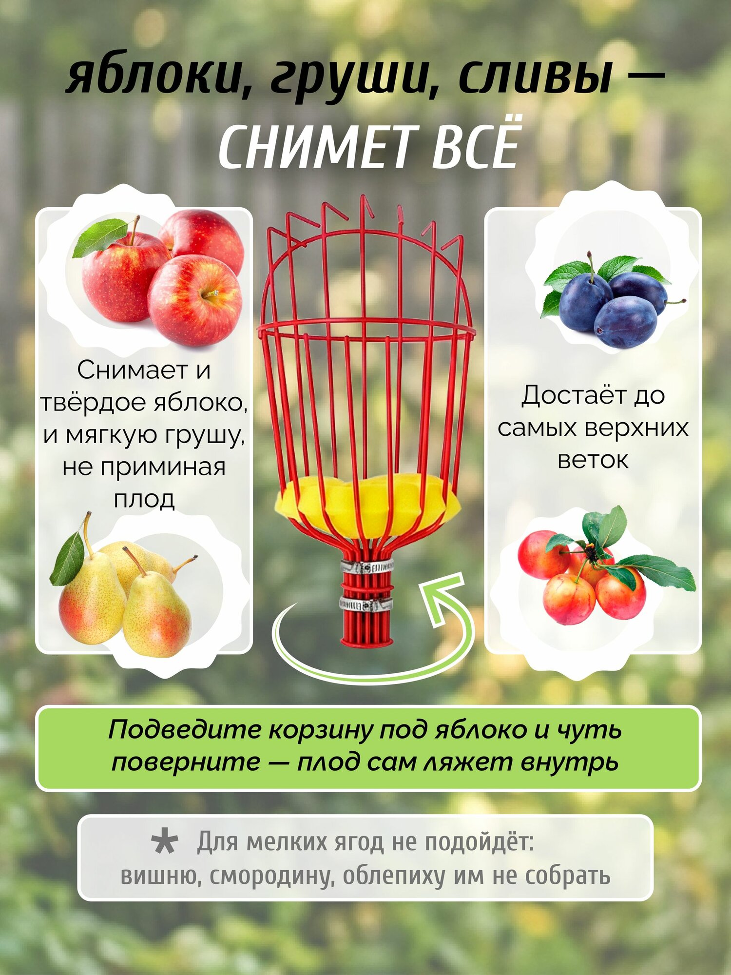 Плодосборник 3,2м — фото 1