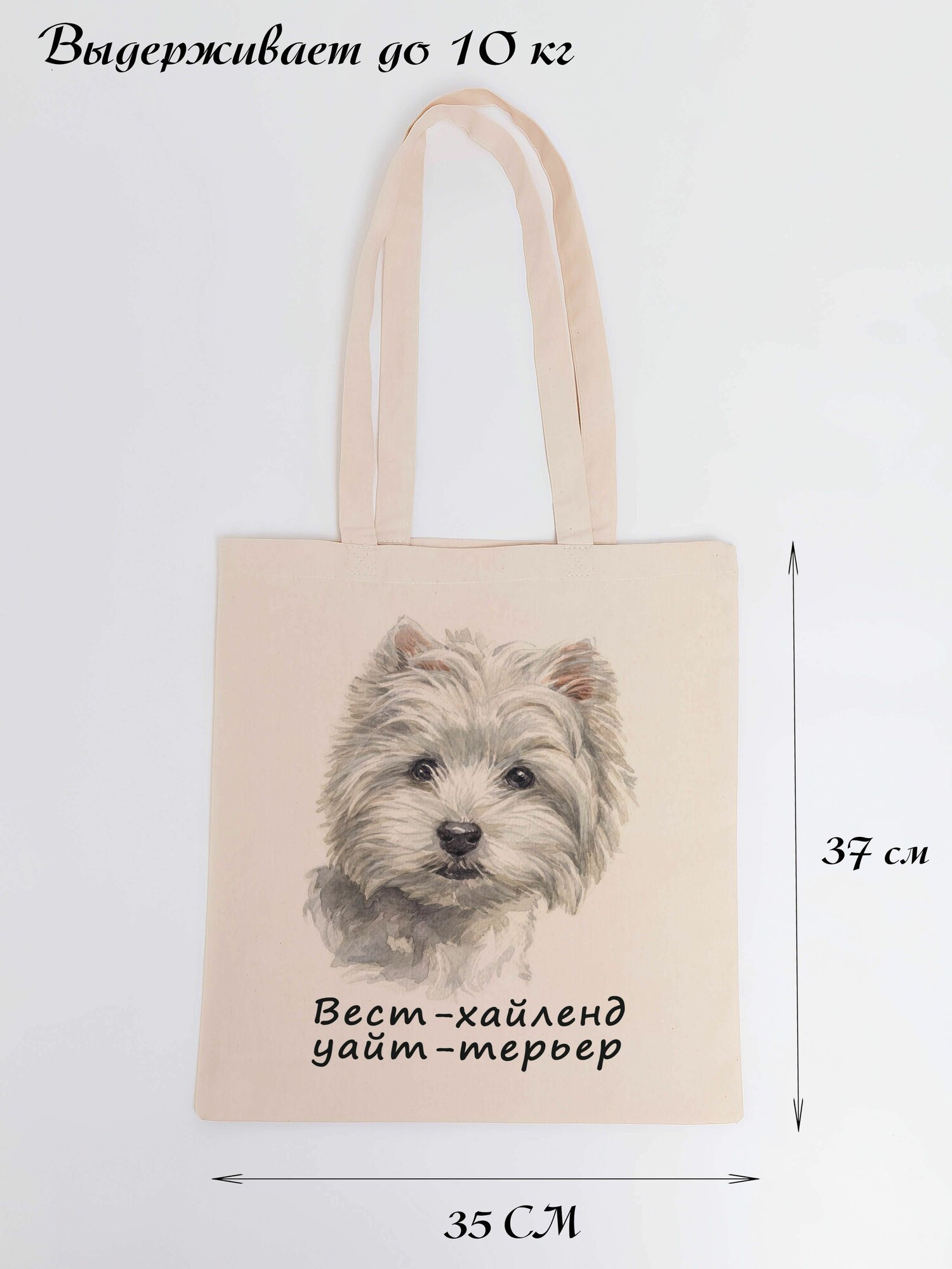 Сумка мессенджер