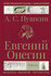 Евгений Онегин Пушкин А. С, серия Шедевры Мировой Литературы
