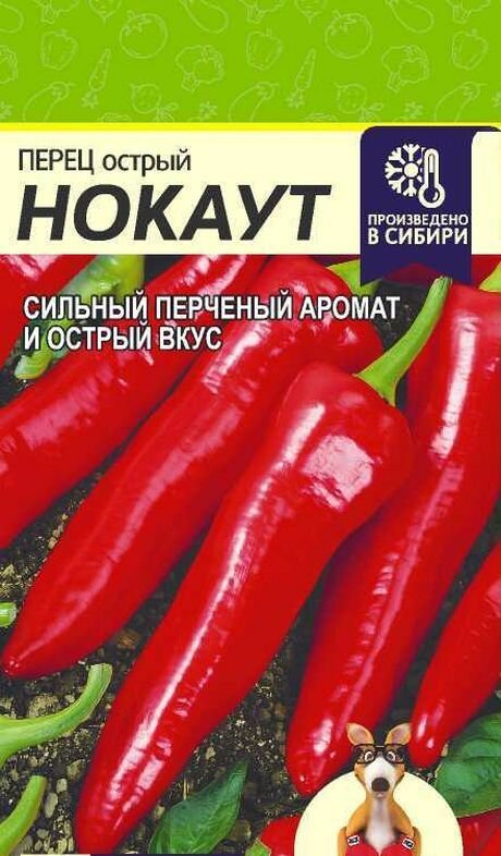 Семена растения перец острый нокаут
