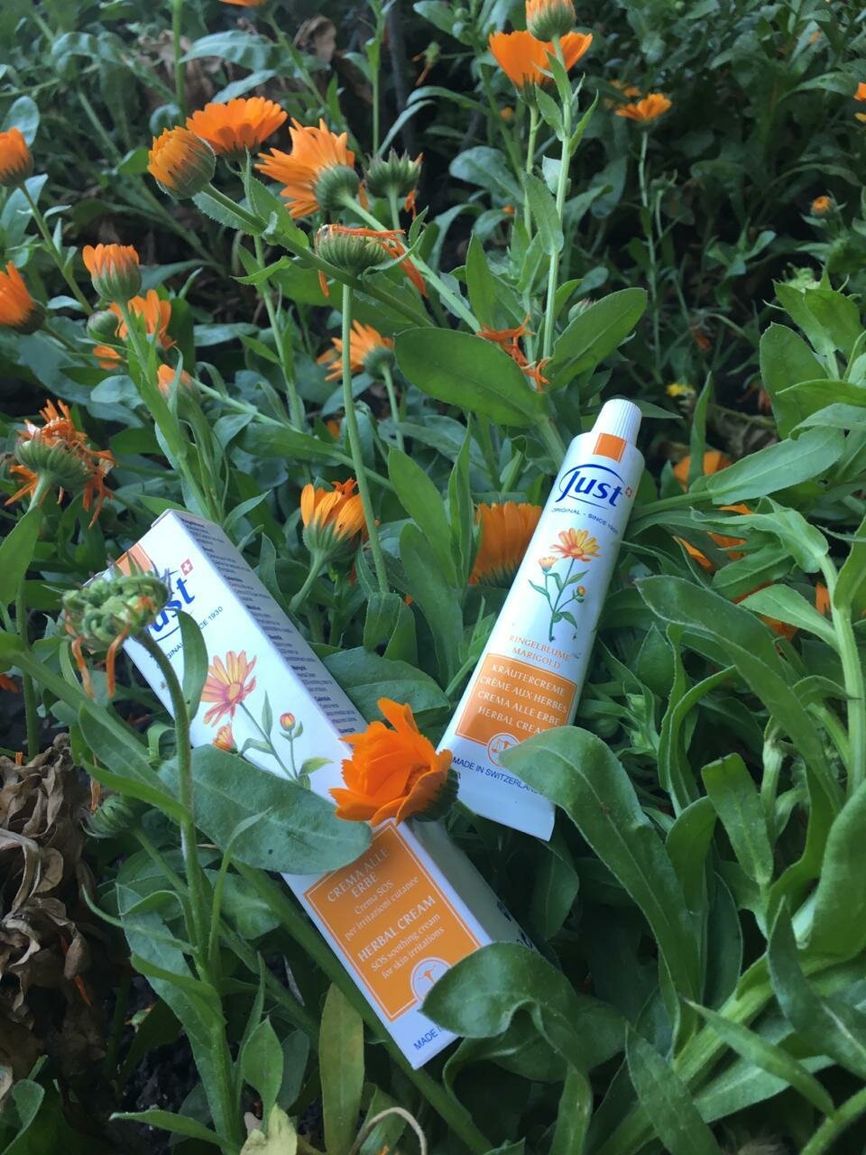 Крем Календула Just 30 мл из Швейцарии