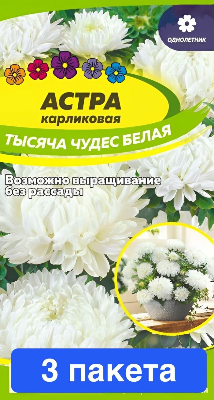 Семена цветов Семена Алтая "Астра Тысяча чудес белая карликовая", 0,2 гр, 3 пакета