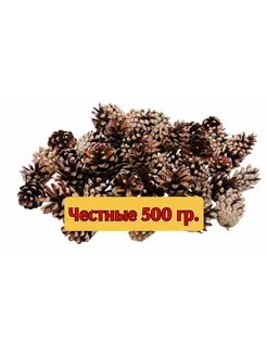 Сосновые шишки 500 гр.