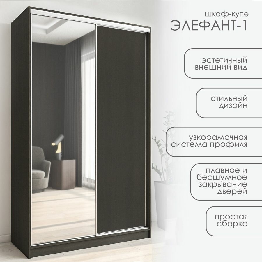 Шкаф-купе Элефант-1, 100*220*60, венге цава, серебро матовое, 1 зеркало, 2 ящика, платье/белье