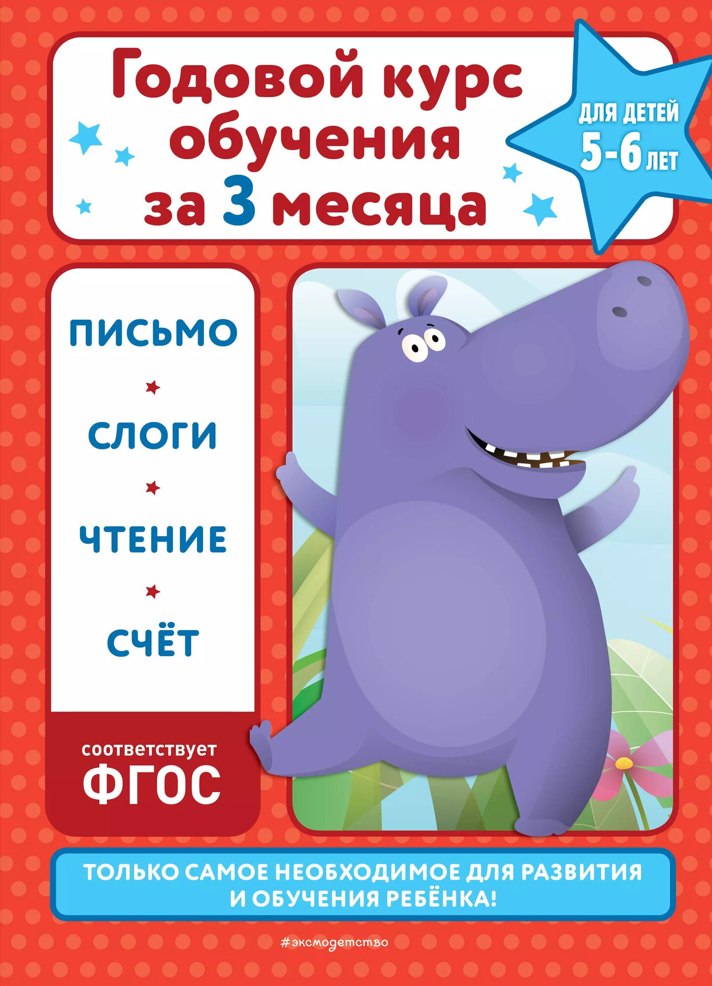 Годовой курс обучения за три месяца: для детей 5-6 лет (Владимир Королев)