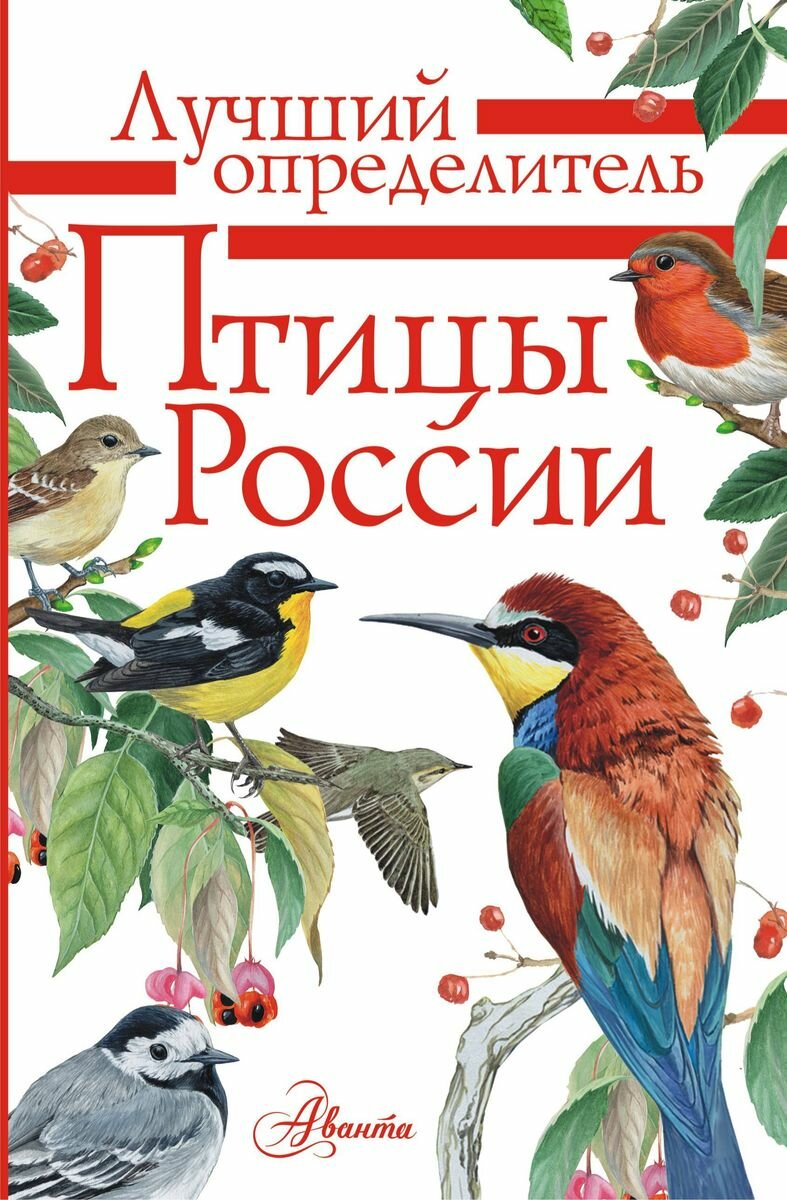 Книга АСТ Лучший определитель, Мосалов А, А, Птицы России