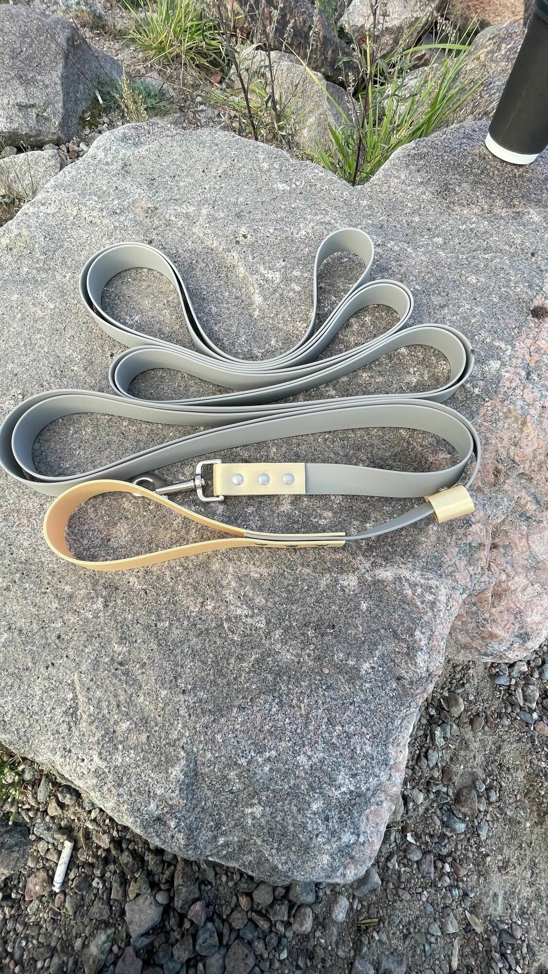 Поводок для собак водонепроницаемый биотан 3 м, 25 мм серый и золотой