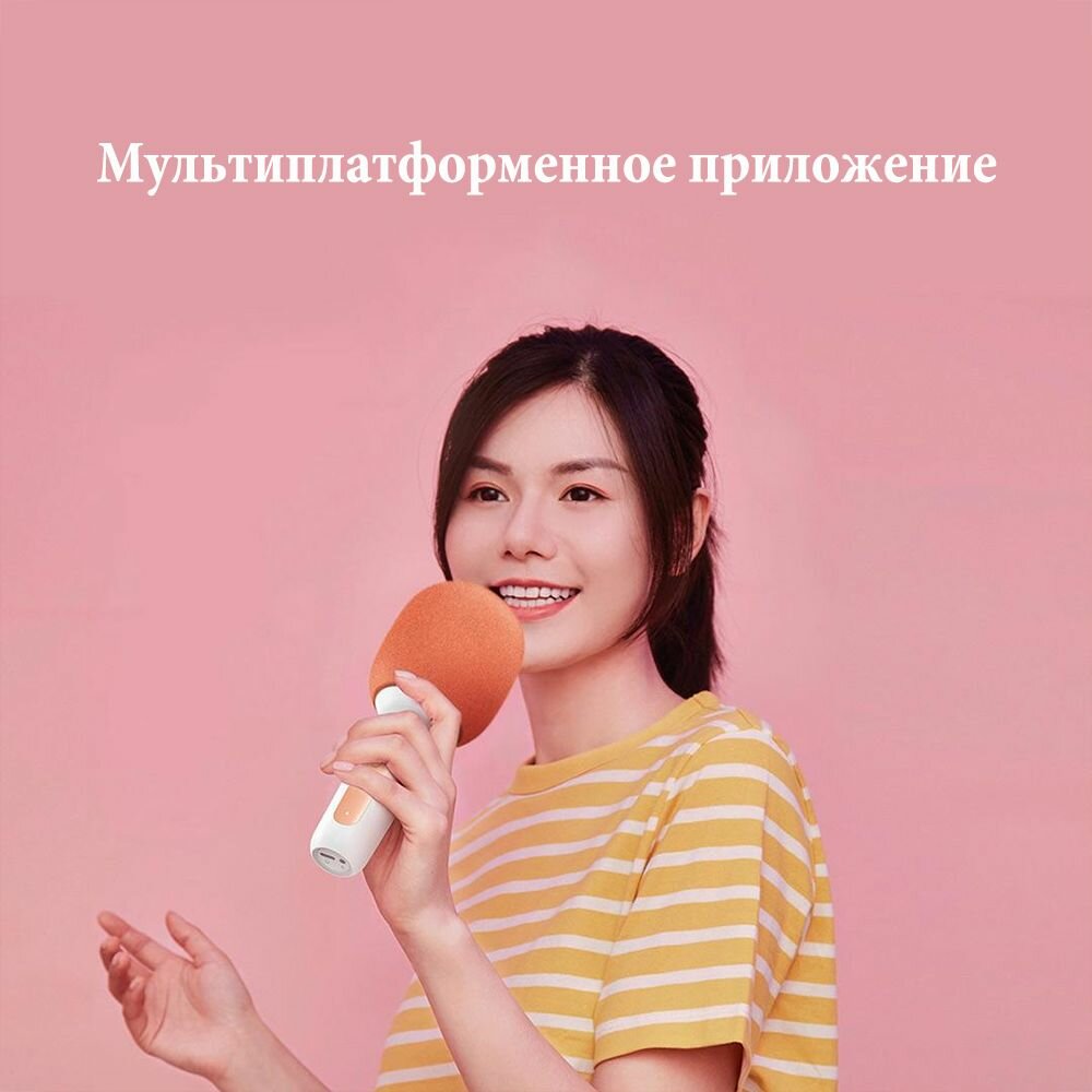 Микрофон — фото 1