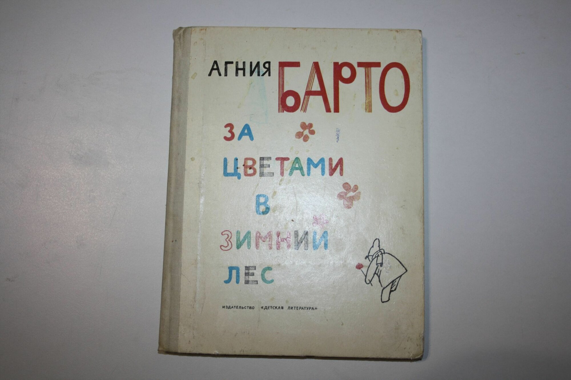 За цветами в зимний лес. Стихи
