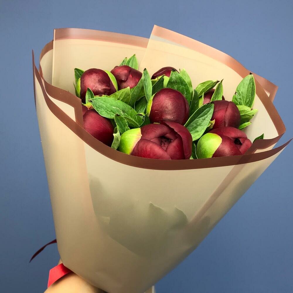 Букет красных пионов "Пион Ред Шарм", 9 шт, бордовый, атласная лента PROTEA-Студия Цветов