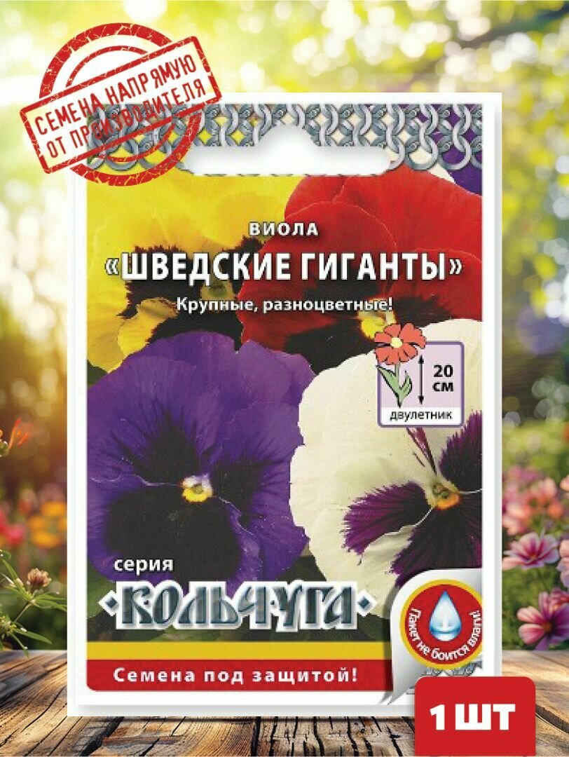 Виола Шведские гиганты "Кольчуга NEW"