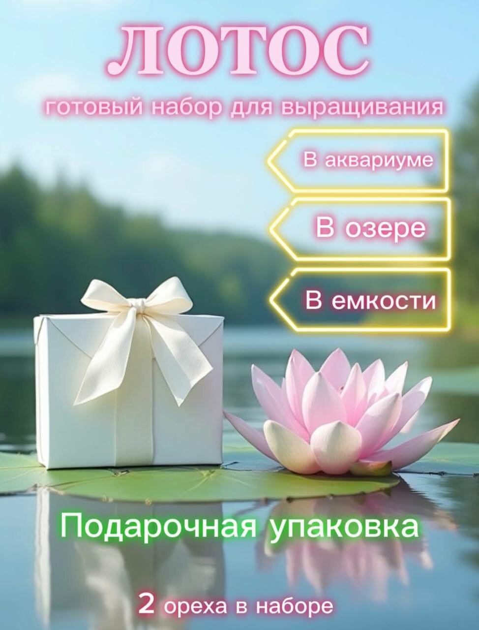 Набор для выращивания лотоса, с семенами, декоративный, для пруда и аквариума