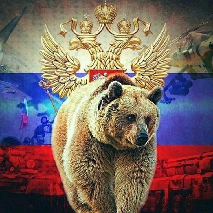Алмазная картина "Государственный герб России и бурый медведь" квадратный/круглый бриллиант 40х50 см.