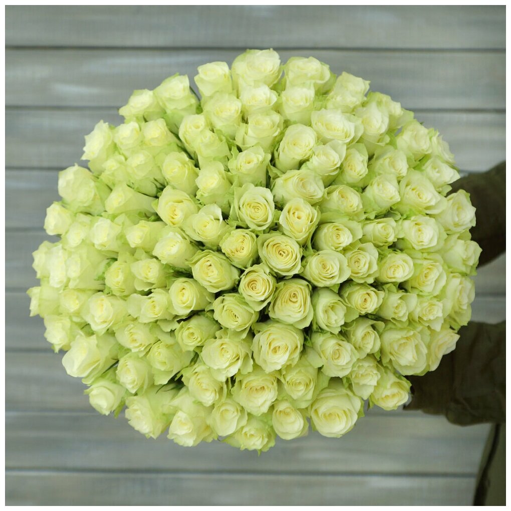 Монобукет Букет Маркет "101 роза", роза, высота 38см, цвет белый