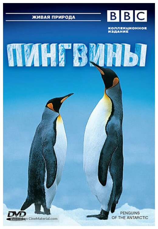 BBC: Пингвины DVD/2006