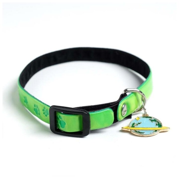 Ошейник светоотражающий «Лапки» с подвесом, 30 х 1 см, цвет зелёный
