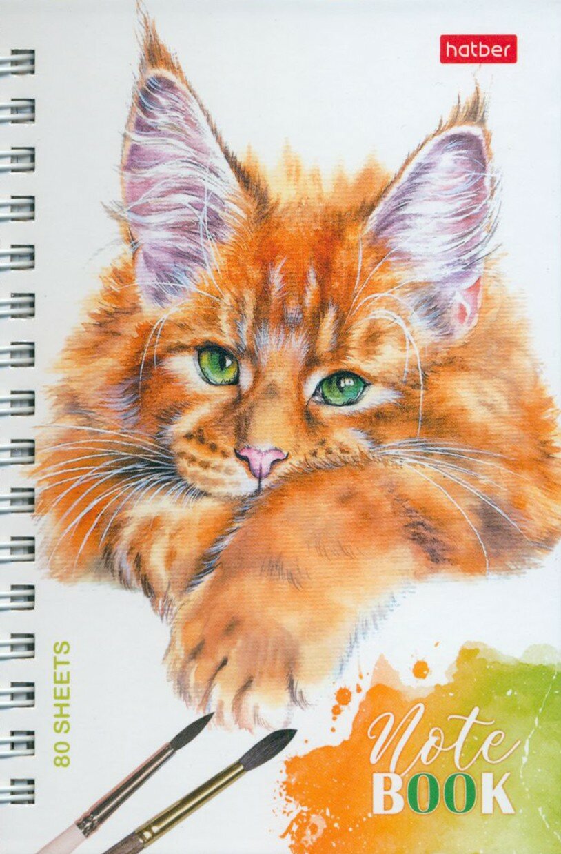 Записная книжка-перевертыш Рыжий кот, А6, 80 листов