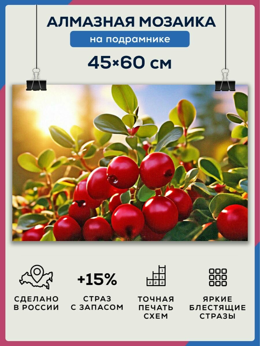 Алмазная мозаика 45x60 Брусника ягоды на подрамнике