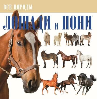 Лошади и пони [Цифровая книга]
