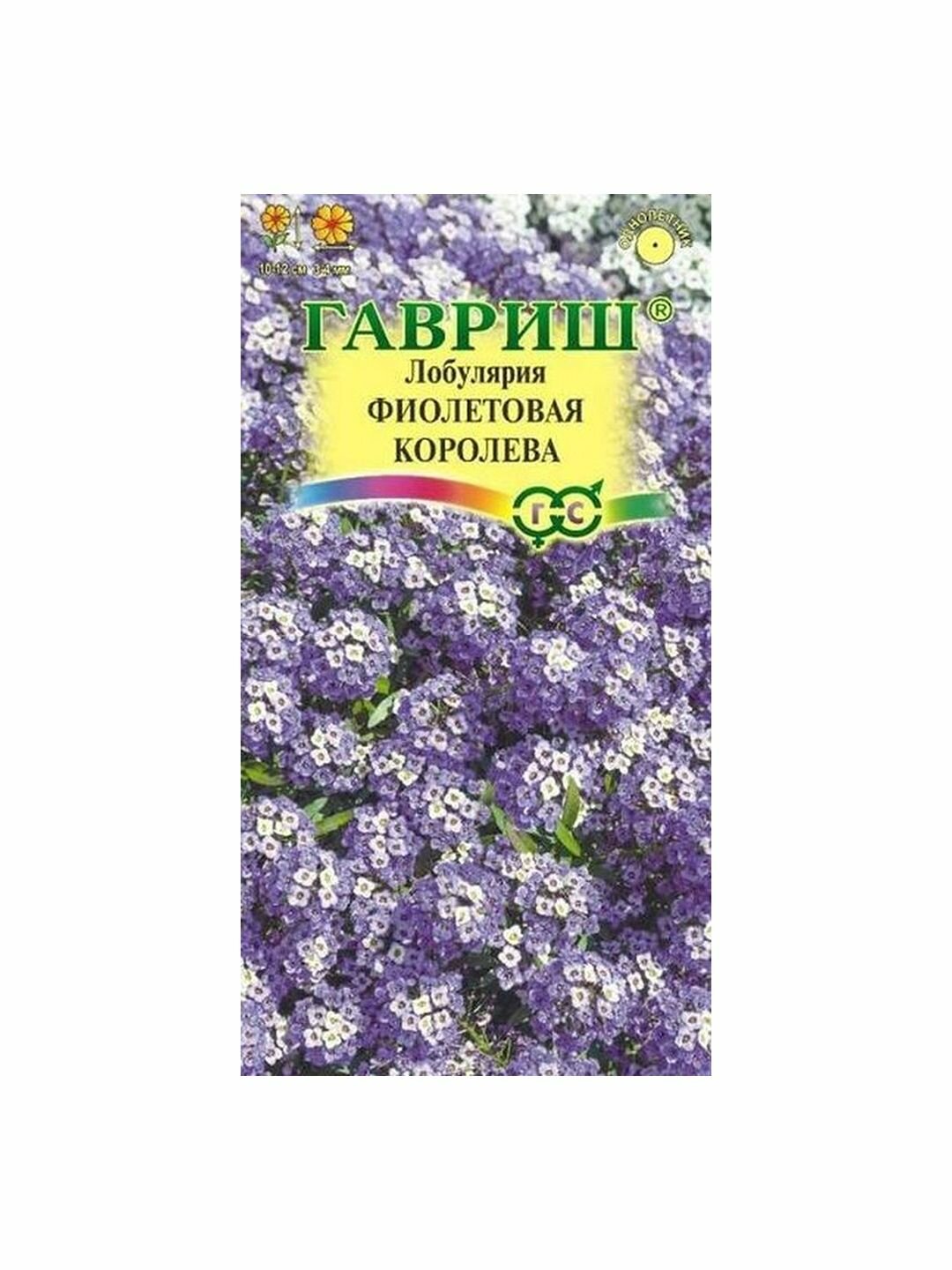 Семена Лобулярия Фиолетовая королева, однолетник, Гавриш - Сад ароматов, 1 пачка - 0.2г семян