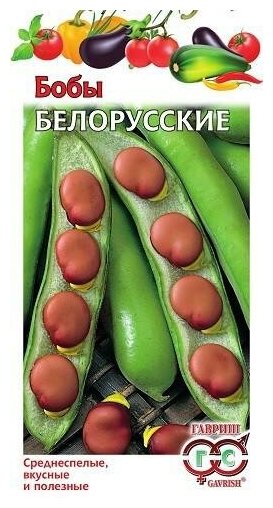 Семена Бобы Белорусские 10шт (Гавриш) Традиция
