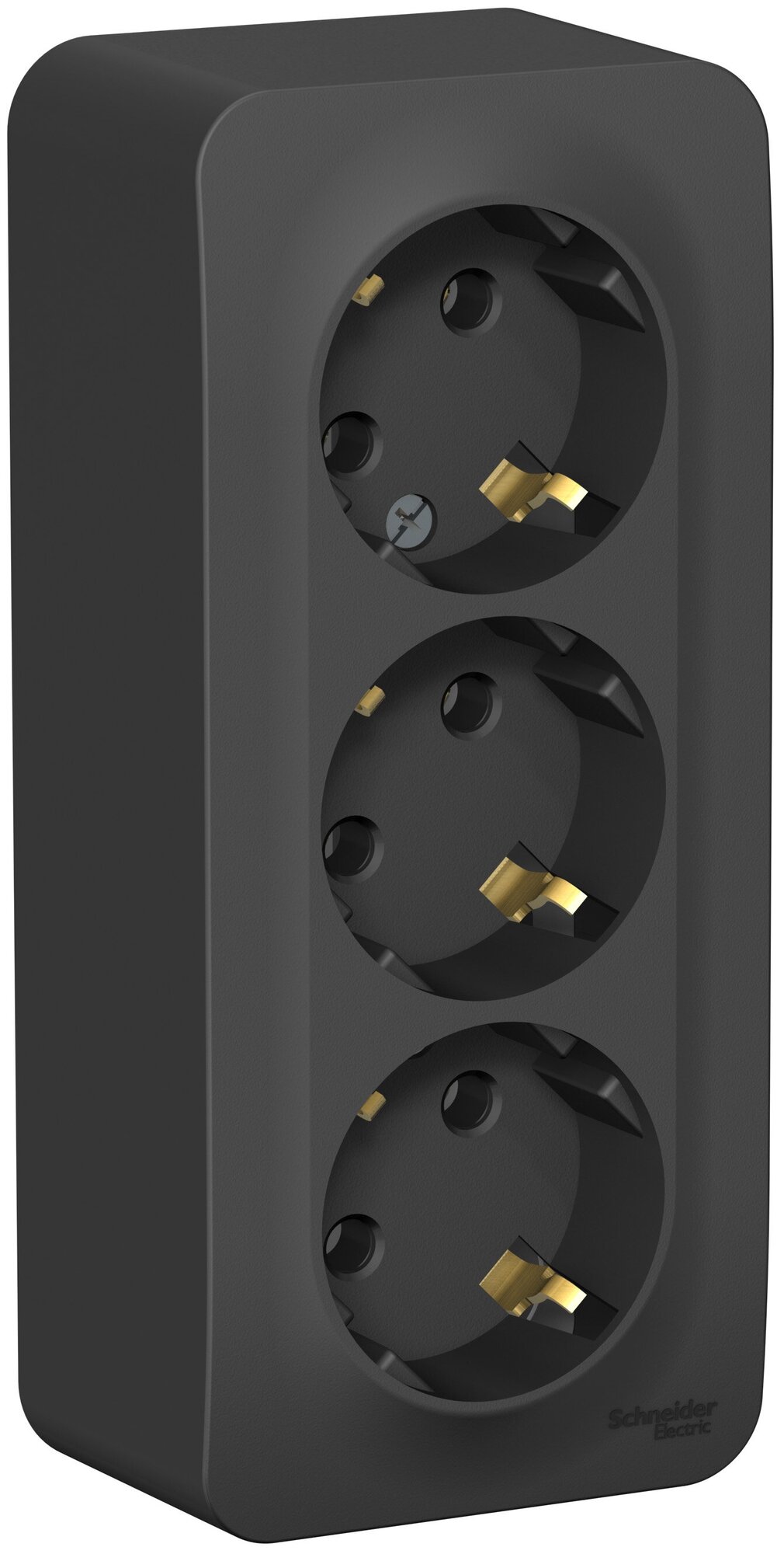 Розетка Systeme Electric BLNRA010316 Blanca, 16 А, с заземлением