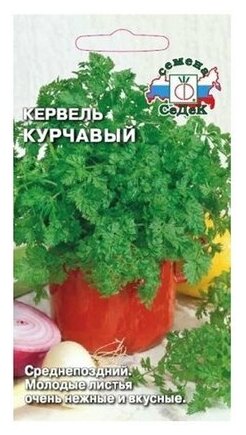 Семена Кервель Курчавый 0,5г Поздние (Седек)