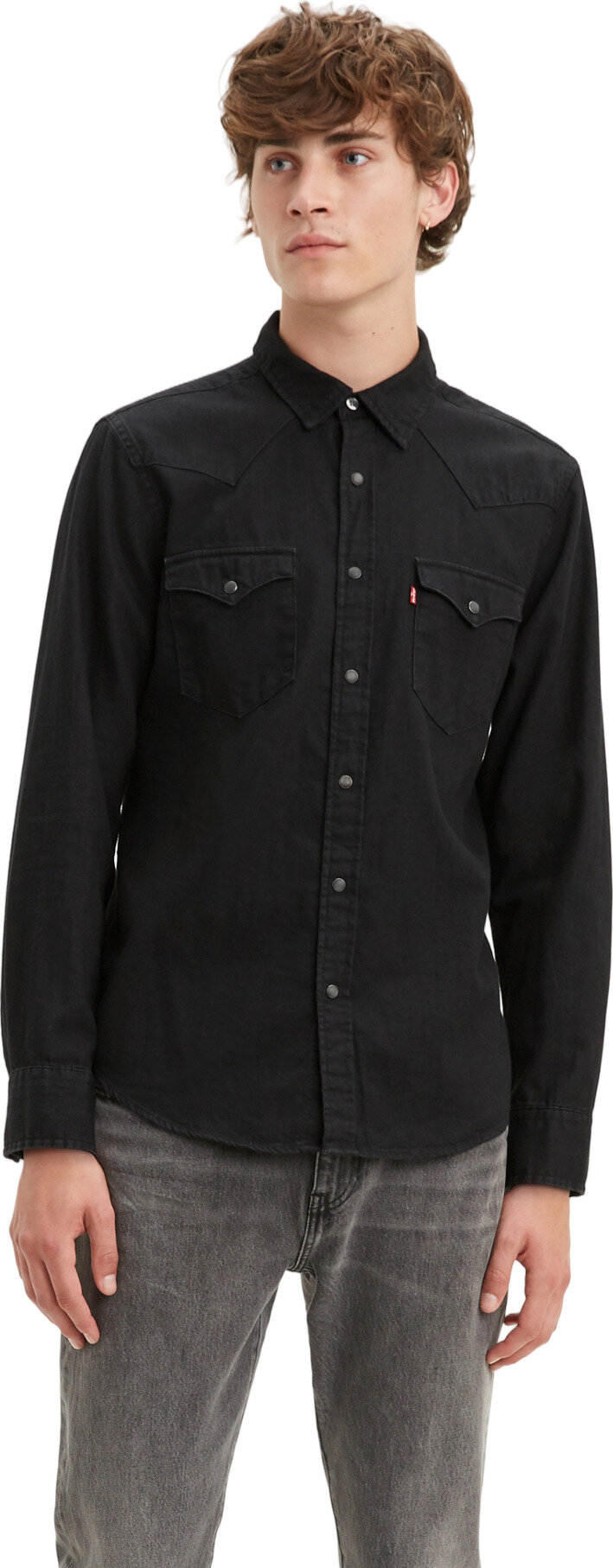 Рубашка Men Classic Western Shirt