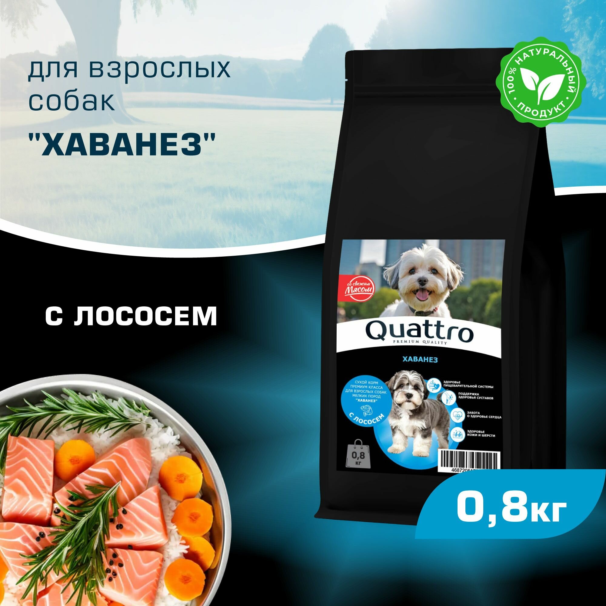 Корм сухой для взрослых собак породы Хаванез, с лососем, 800 гр, QUATTRO