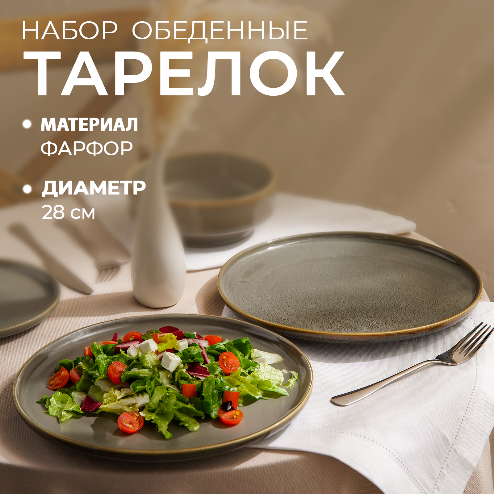 Тарелки обеденные фарфоровые Magistro Fog, 2 предмета: d=28 см, цвет серый