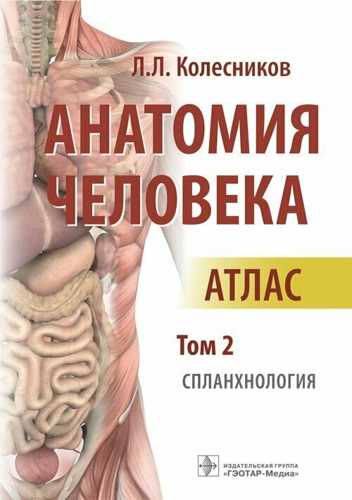 Книга Анатомия человека. Том 2. Спланхнология. Строение внутренних органов: пищеварительной, дыхательной, мочевой, половой, эндокринной, сердечно-сосудистой и лимфоидной систем. Атлас в 3-х томах.
