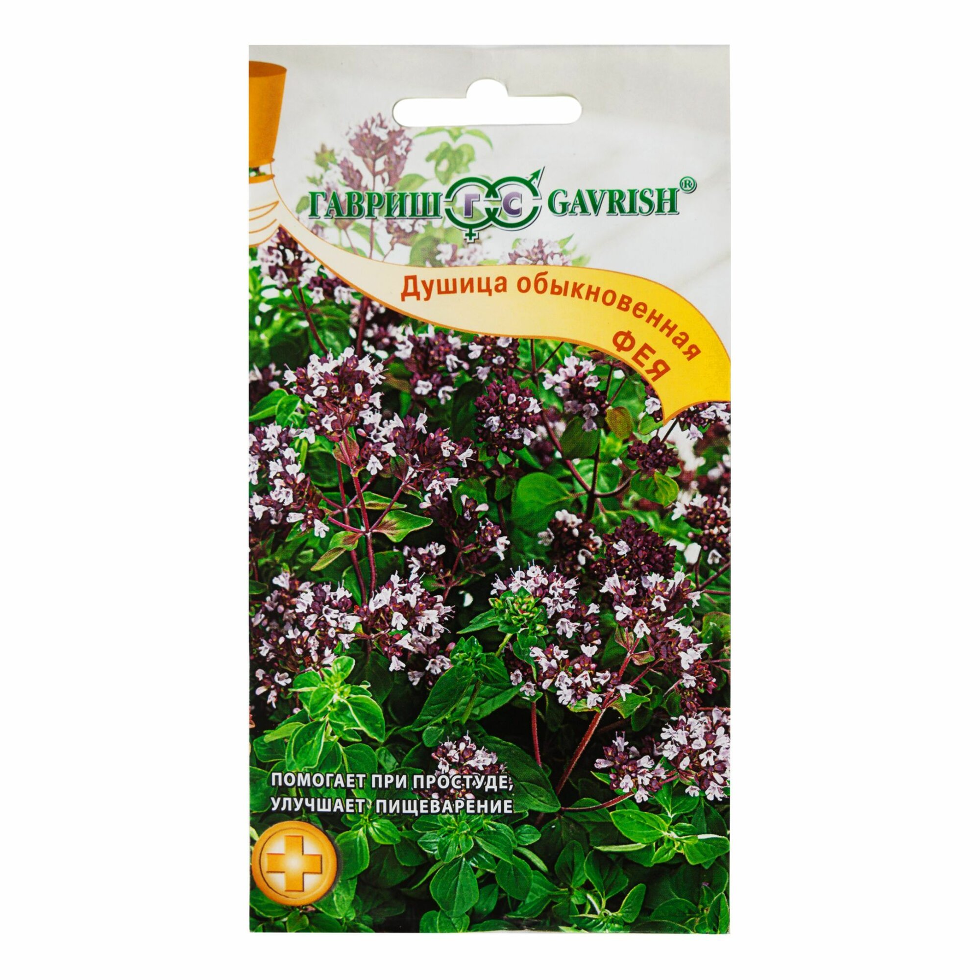 Семена Душица (орегано) Фея 0,1г (Гавриш)
