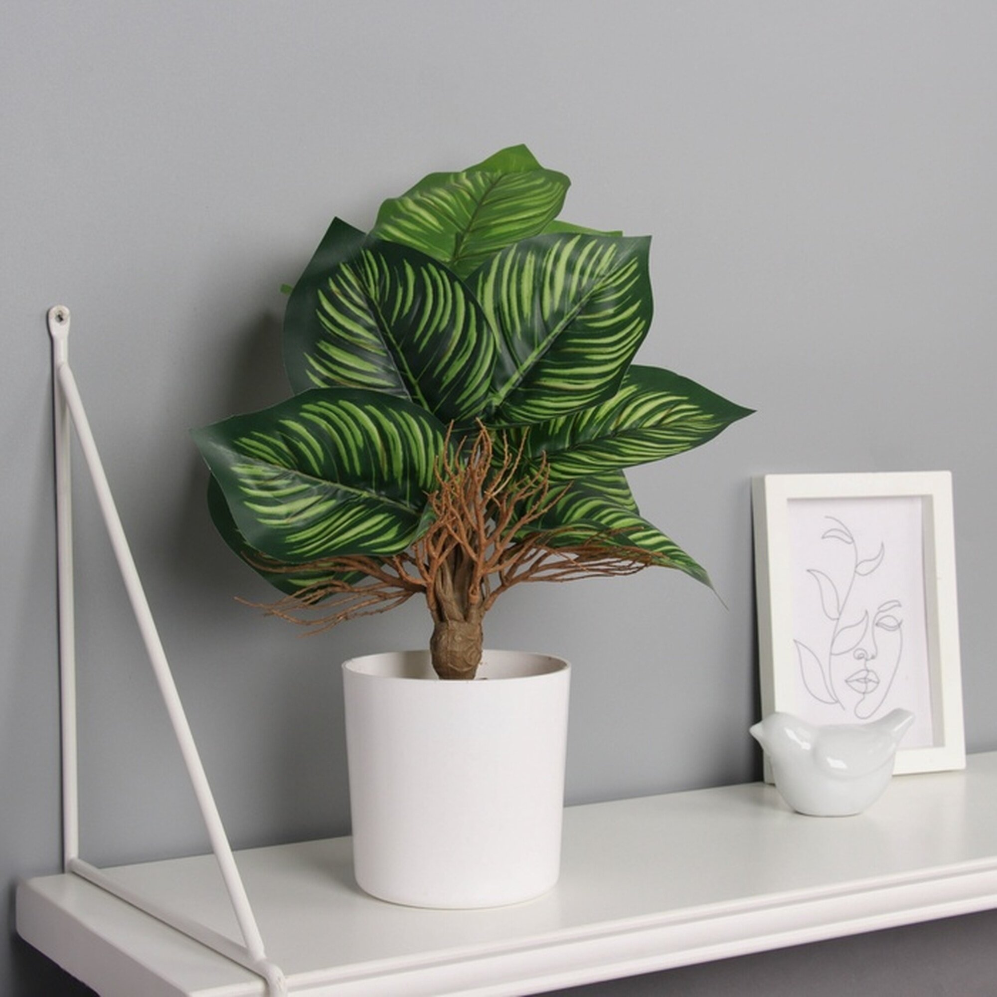 Бонсай Сима-ленд «Калатея», в горшке, пластик, зеленый, 31х10 см