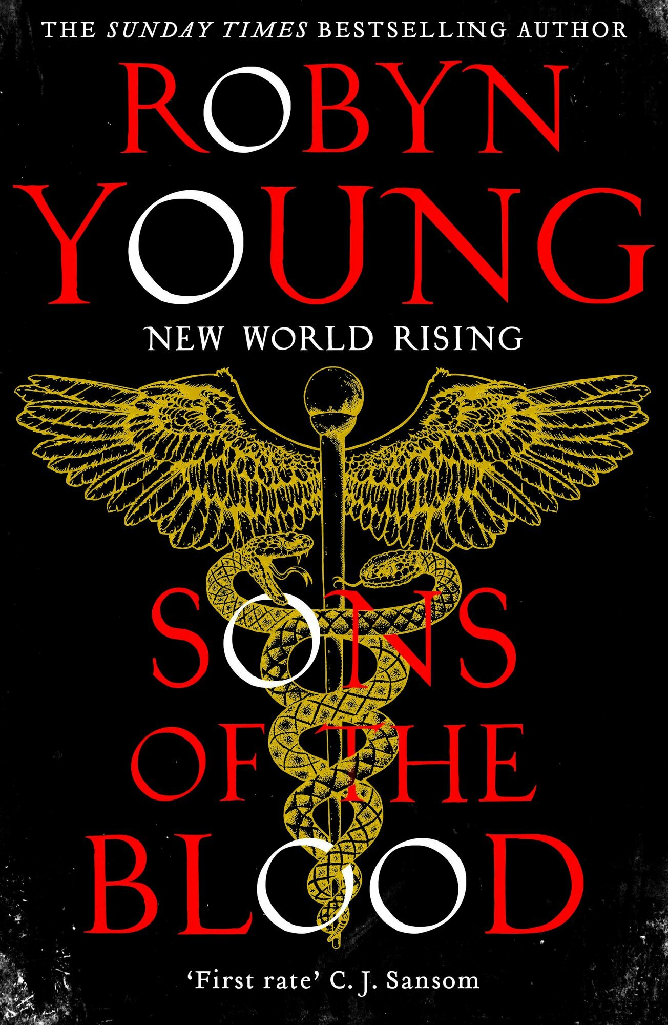Sons of the Blood / Книга на Английском