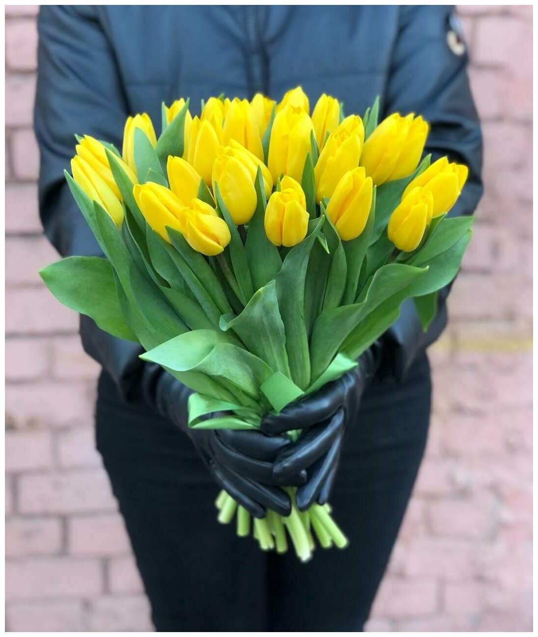 Тюльпаны 25 шт желтые nove арт.11398- Просто роза ру st nhi npo kr ak