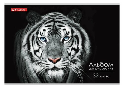 Альбом для рисования А4 32 л, скоба, обложка картон, BRAUBERG ЭКО, 202х285 мм, "Тигр" (1 вид), 105610