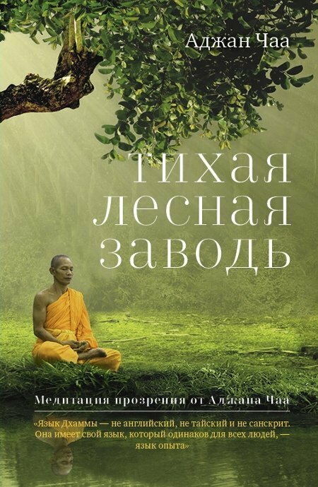 Тихая лесная заводь