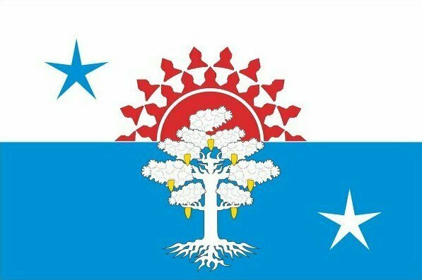 Флаг Серова 90х135 см