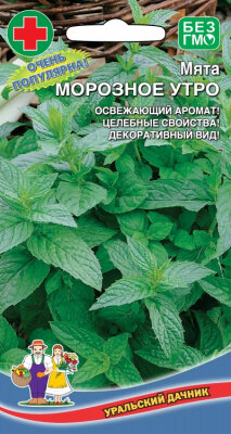 Семена Мята Морозное Утро 0.05г (Уральский Дачник)