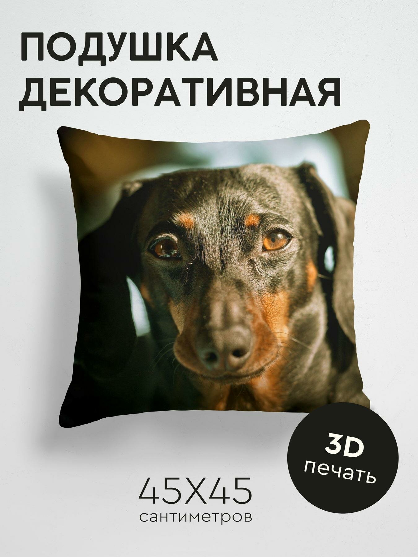 Подушка декоративная, 45x45см / Животные / собака / такса / морда / уши