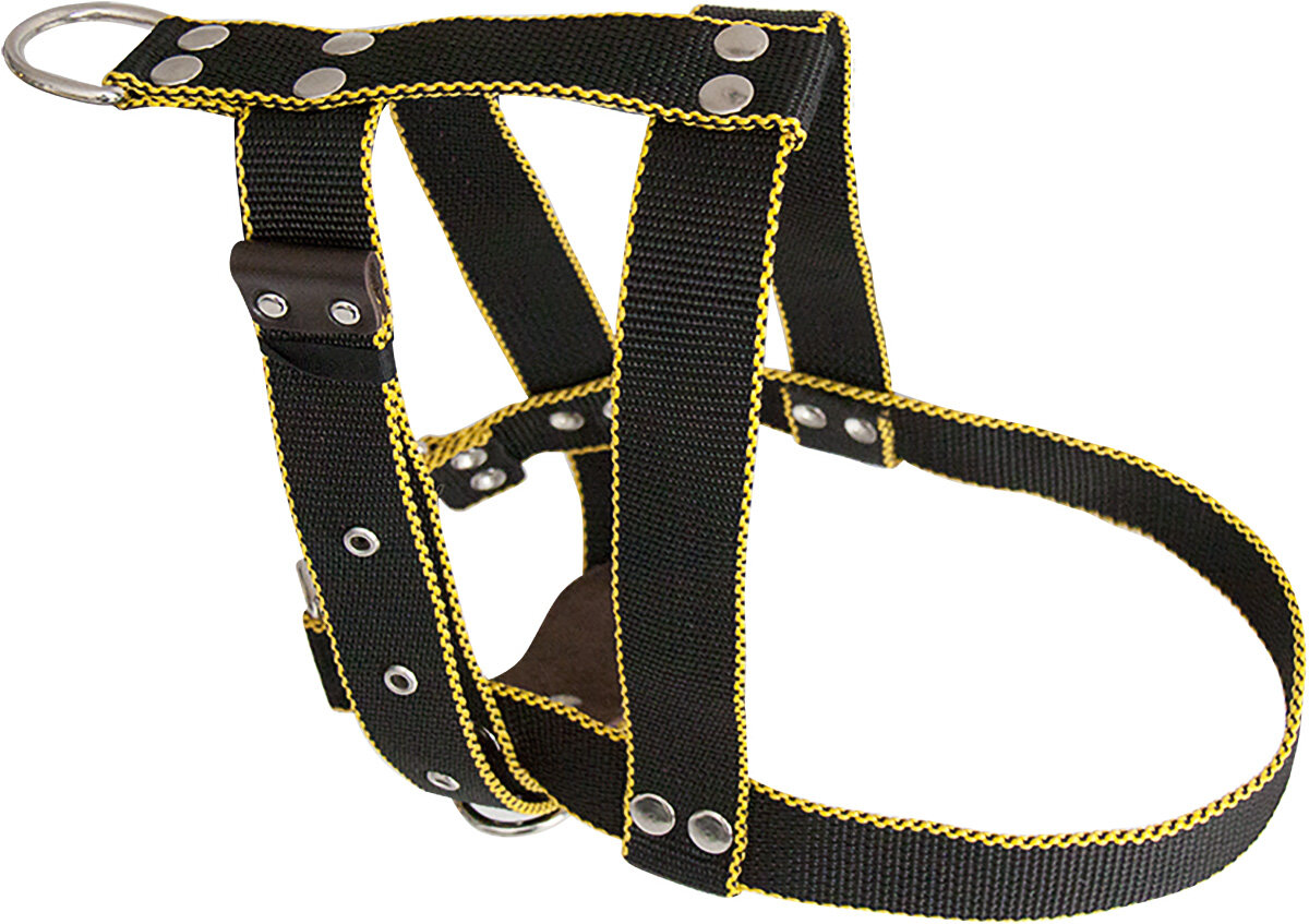 Шлейка для собак 35 мм капроновая лента большая Зооник (1 шт)