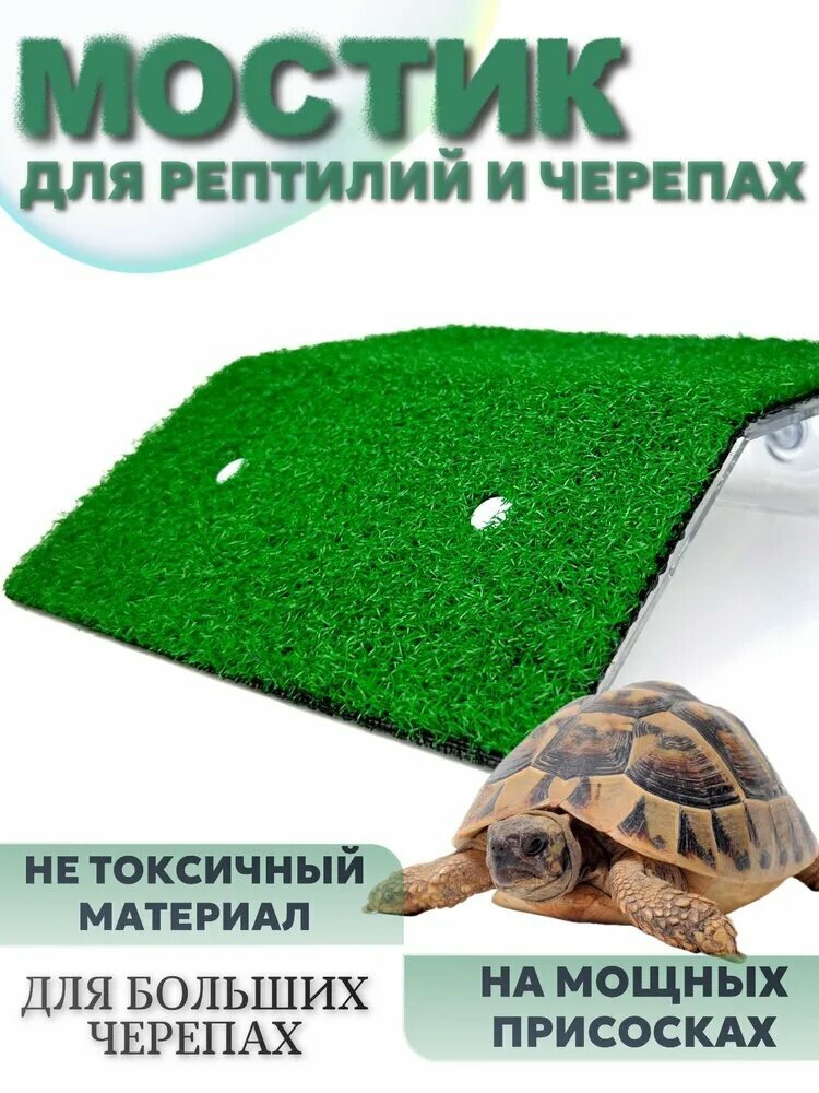 Мостик для черепахи в аквариум большой на присосках