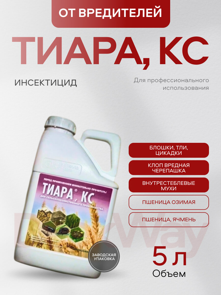 Тиара КС, 5л, инсектицид-протравитель семян от вредителей для злаковых