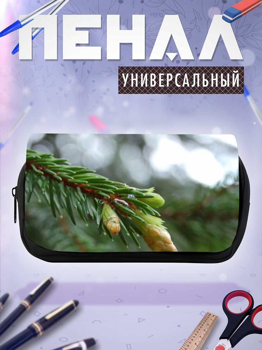 Школьный пенал дерево растение