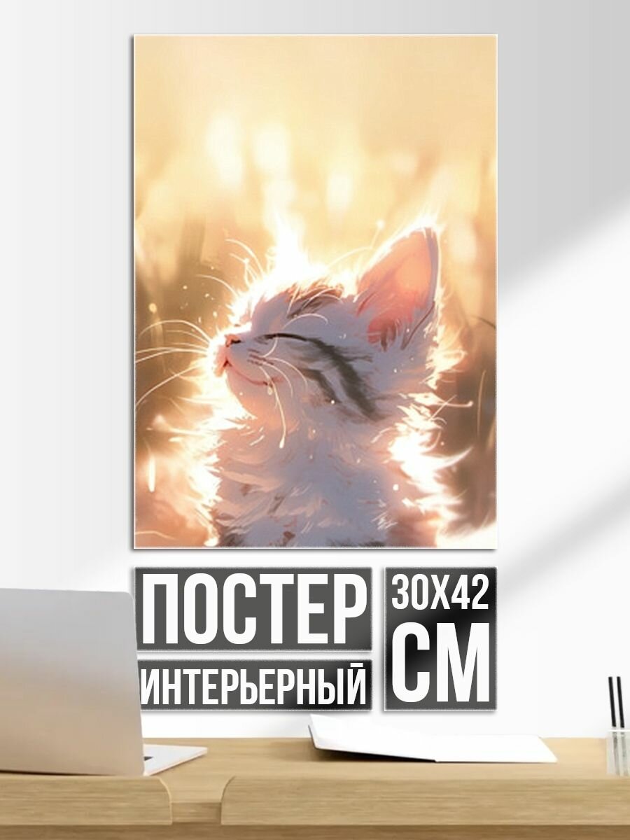 Постер на стену Счастливый котёнок