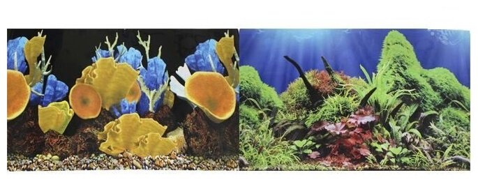 Фон для аквариума Prime Морские кораллы/Подводный мир 50х100см