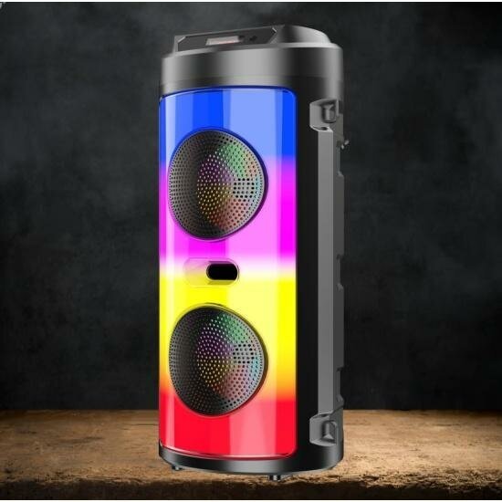 Колонка GINZZU черный (GM-231)